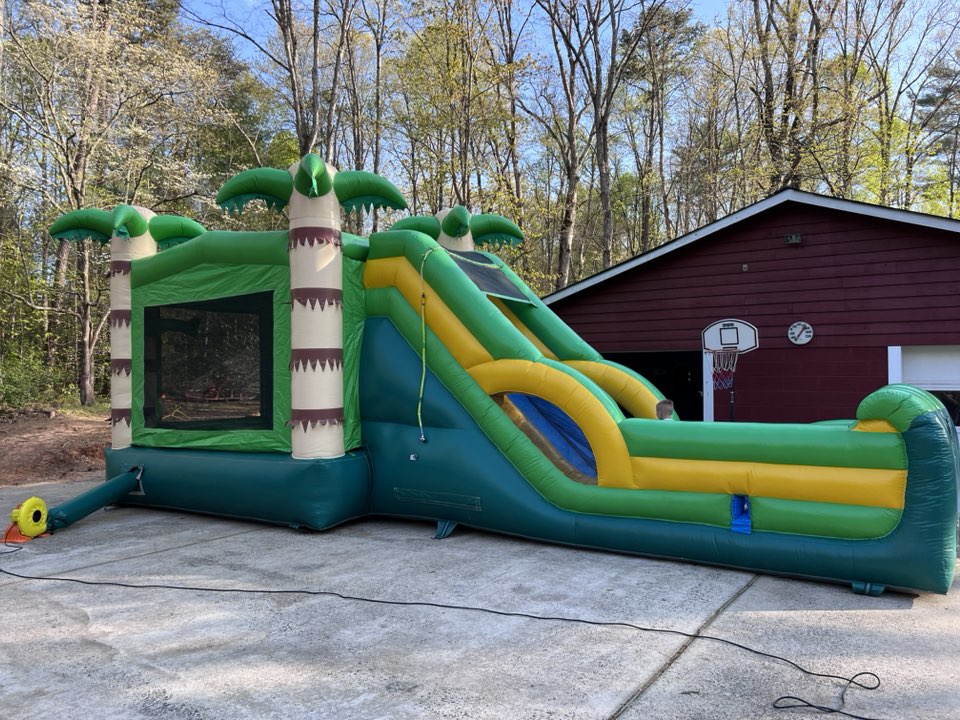 Bounce House Rental Ellijay GA | #1 Giant Slide Rentals | Castle & Palm ...